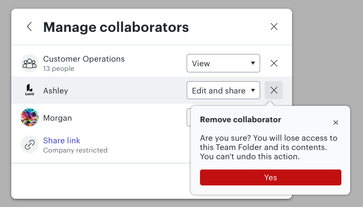 Create team folders – Lucid
